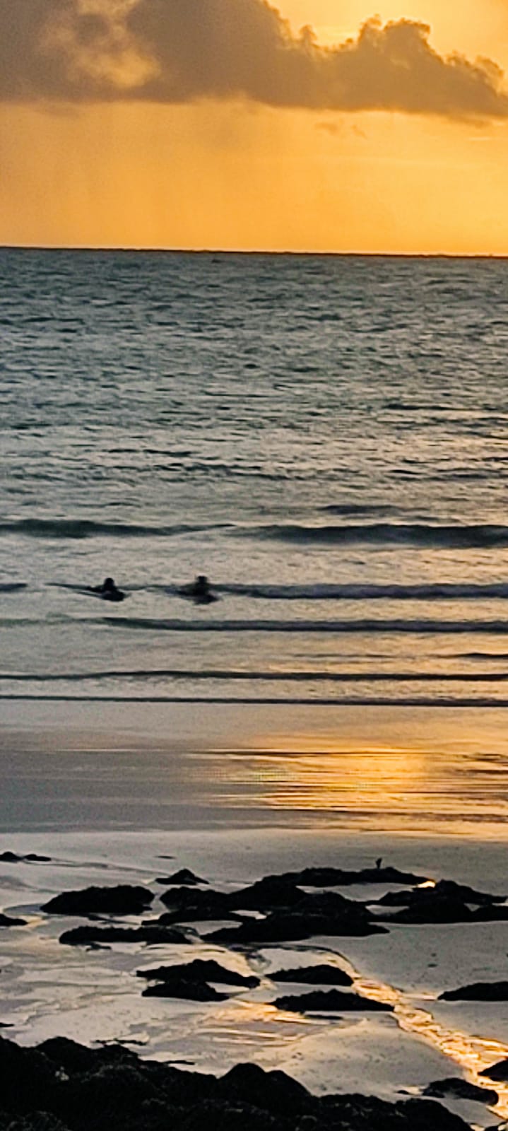 Session de surf à la plage des Dames de Porspoder - Collège Edouard Quéau